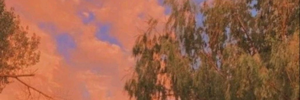 𐙚𝕤𝕚𝕞𝕜𝕚𝕤𐙚