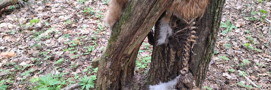 Ужасы И Страшные Рассказы