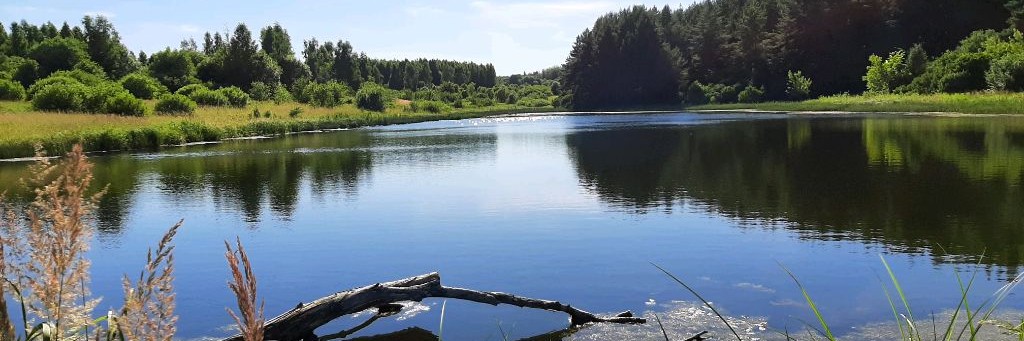 Деревенщина.