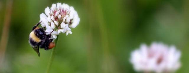 Сергей Дроздов