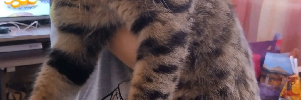 Денис Рахимов