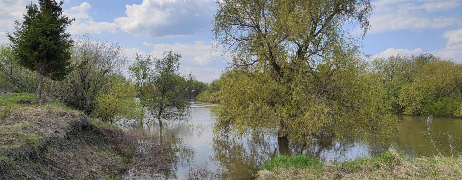 Жизнь Ярослава Колосова | official