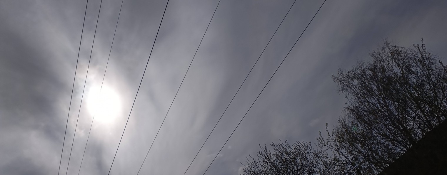 Хома полосатенький