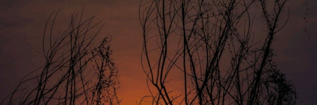 Вместе С RUTUBE ❤️