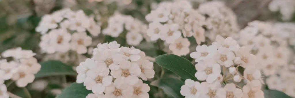 Творческая Мастерская Ларисы Елисеевой