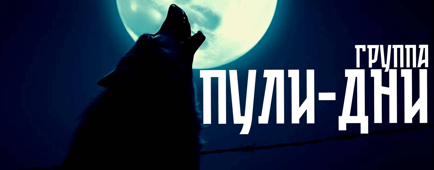 группа ПУЛИ-ДНИ