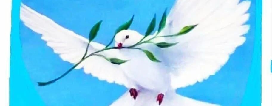 Майоров Дмитрий