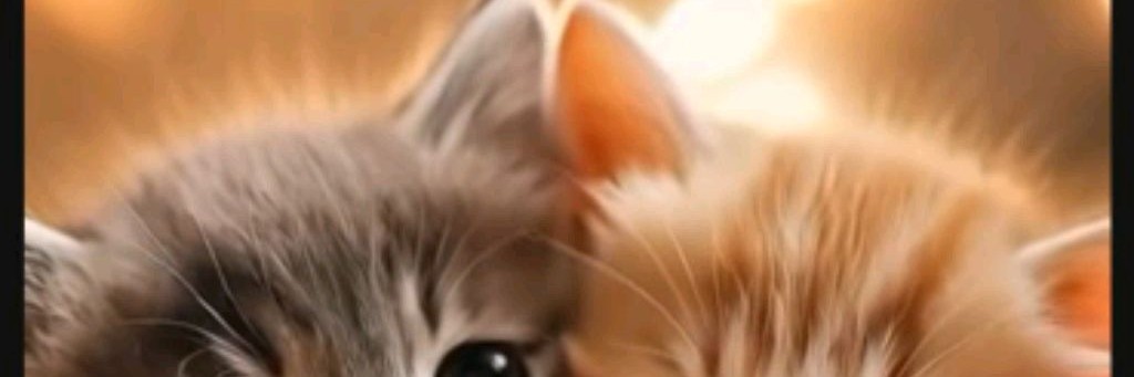 👑🇷🇺✨️🎀Викусик🎀✨️🇷🇺👑