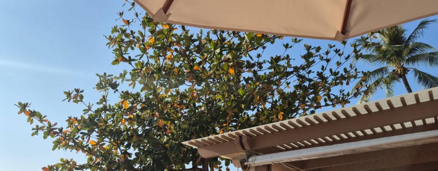 Путешествия и жизнь с Любовью