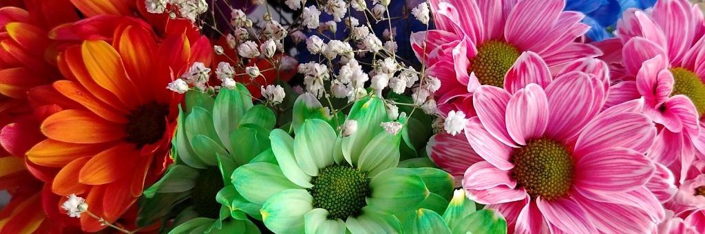 Цветочная феерия