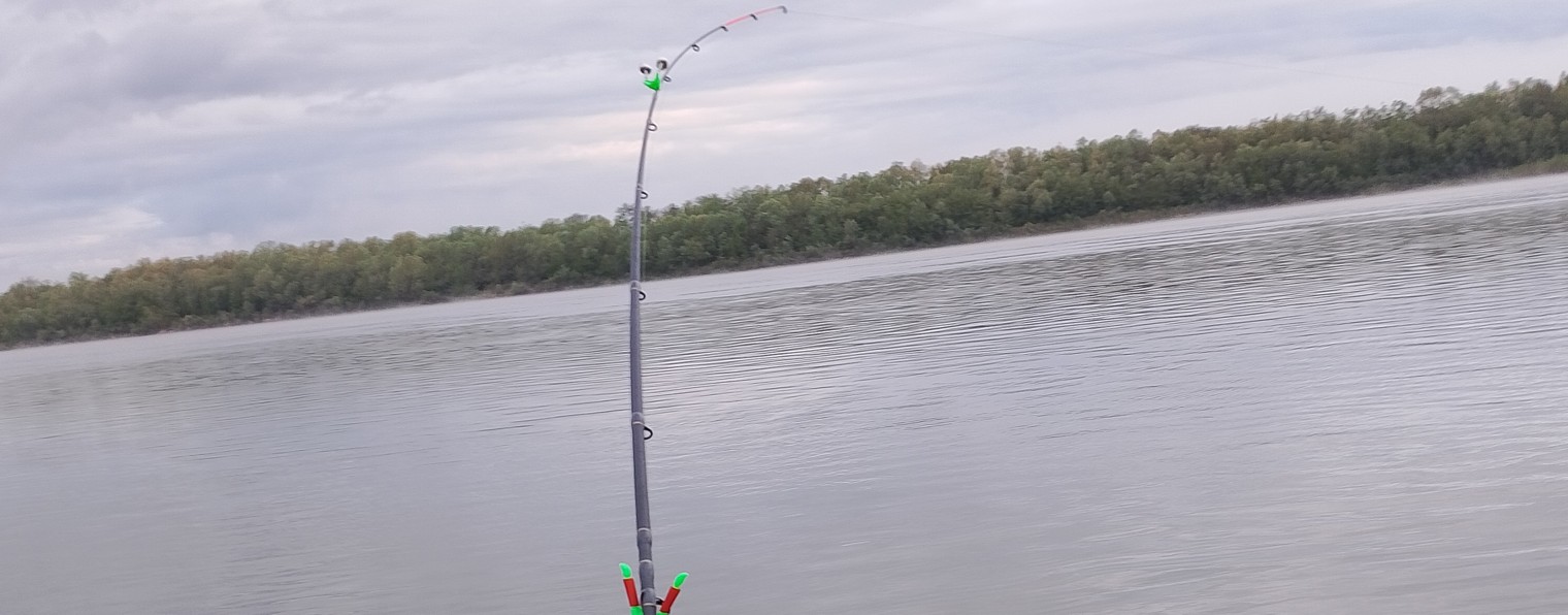 Kirill Fisherman🎣