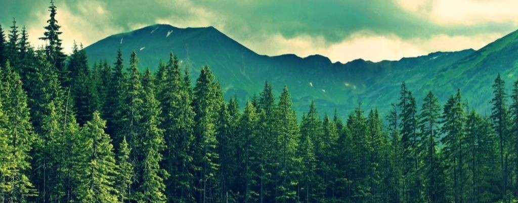 Сергей  "Tourist"