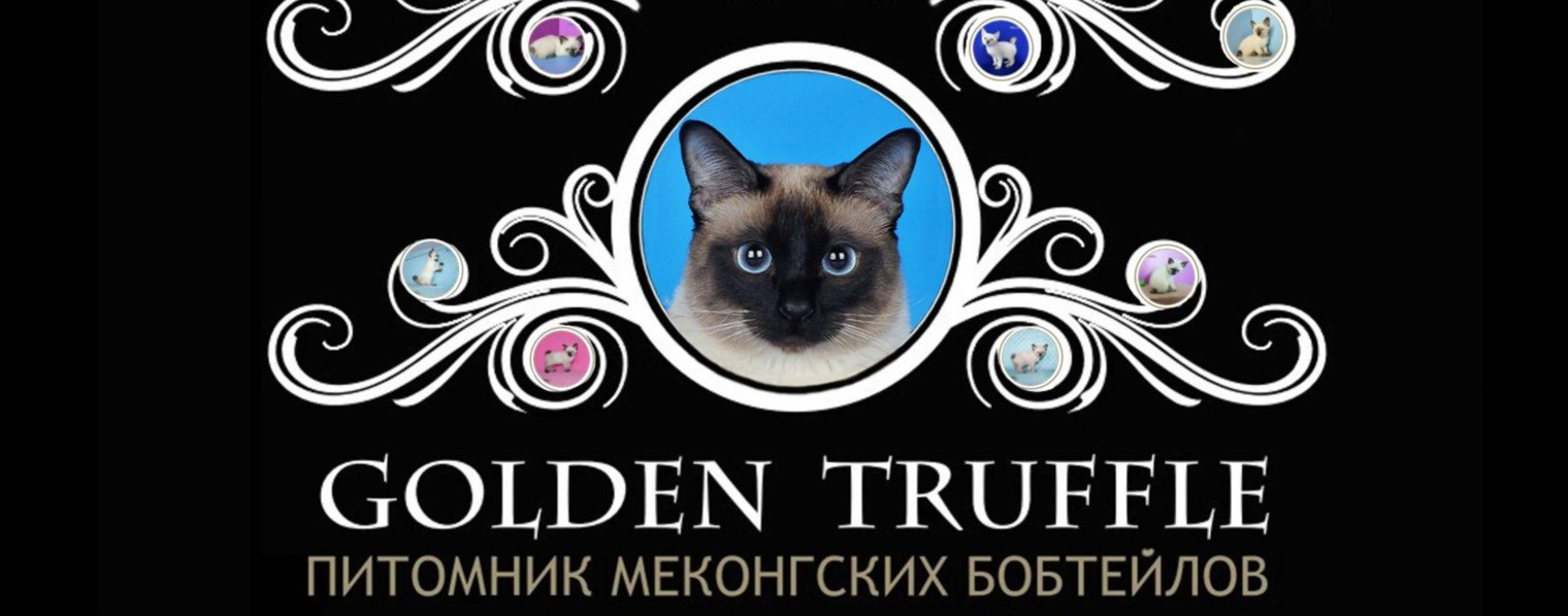 Меконгский бобтейл   Mekong bobtail