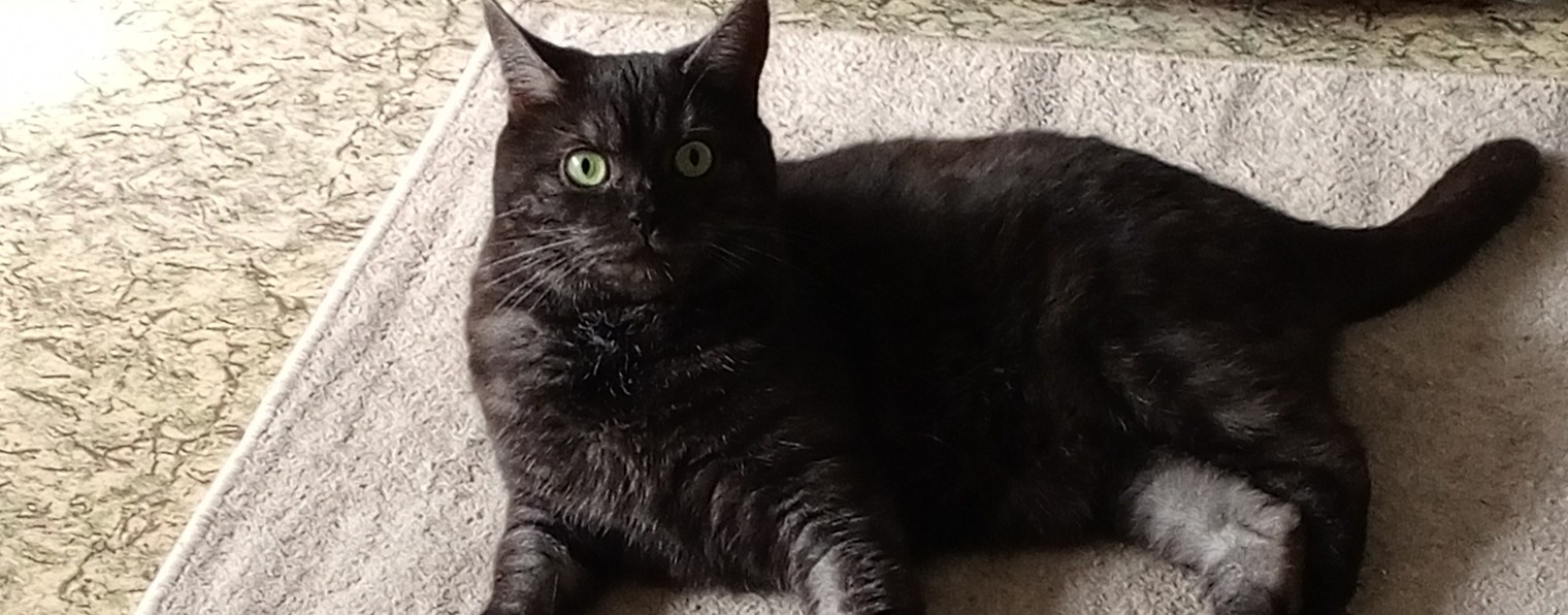 Маргарита_Мой творческий дневник