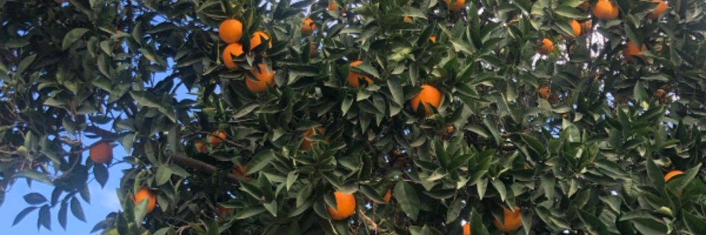 Хочу, могу, делаю!