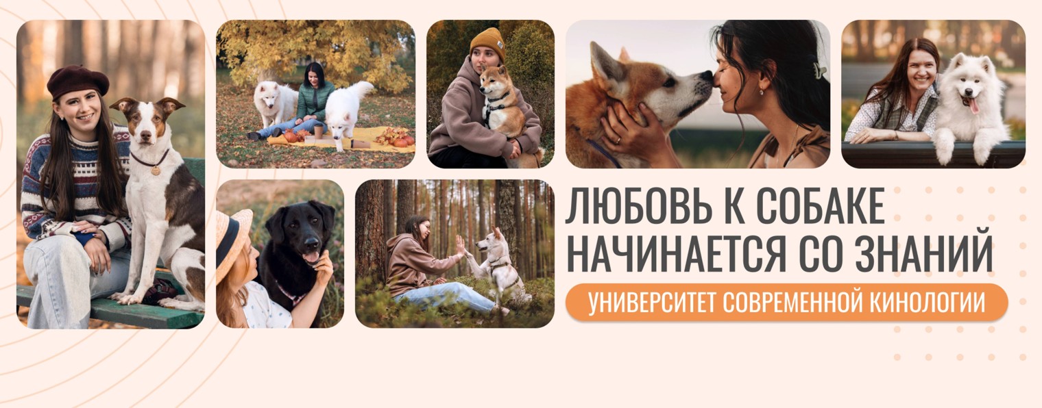 uskdogs