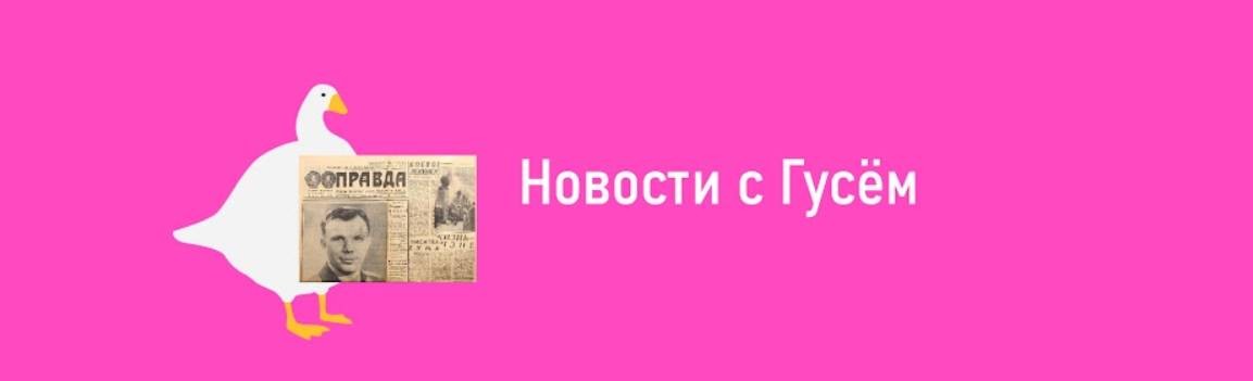 Новостной Гусь