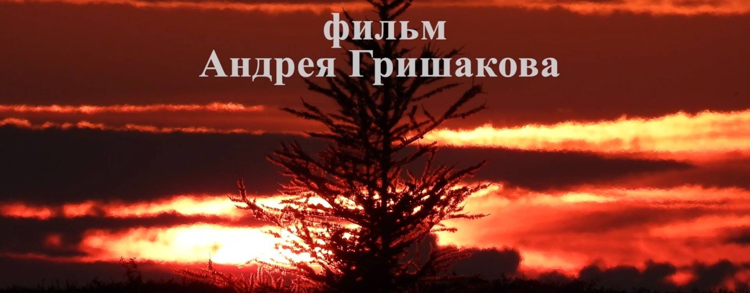 Студия кино "САГА"