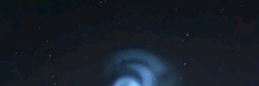 Русский Охотничий Спаниель Ульяновск