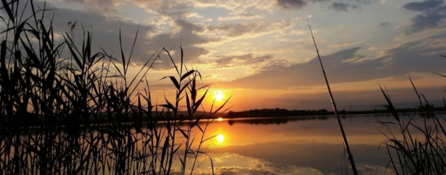 Рыбалка. В поисках трофея