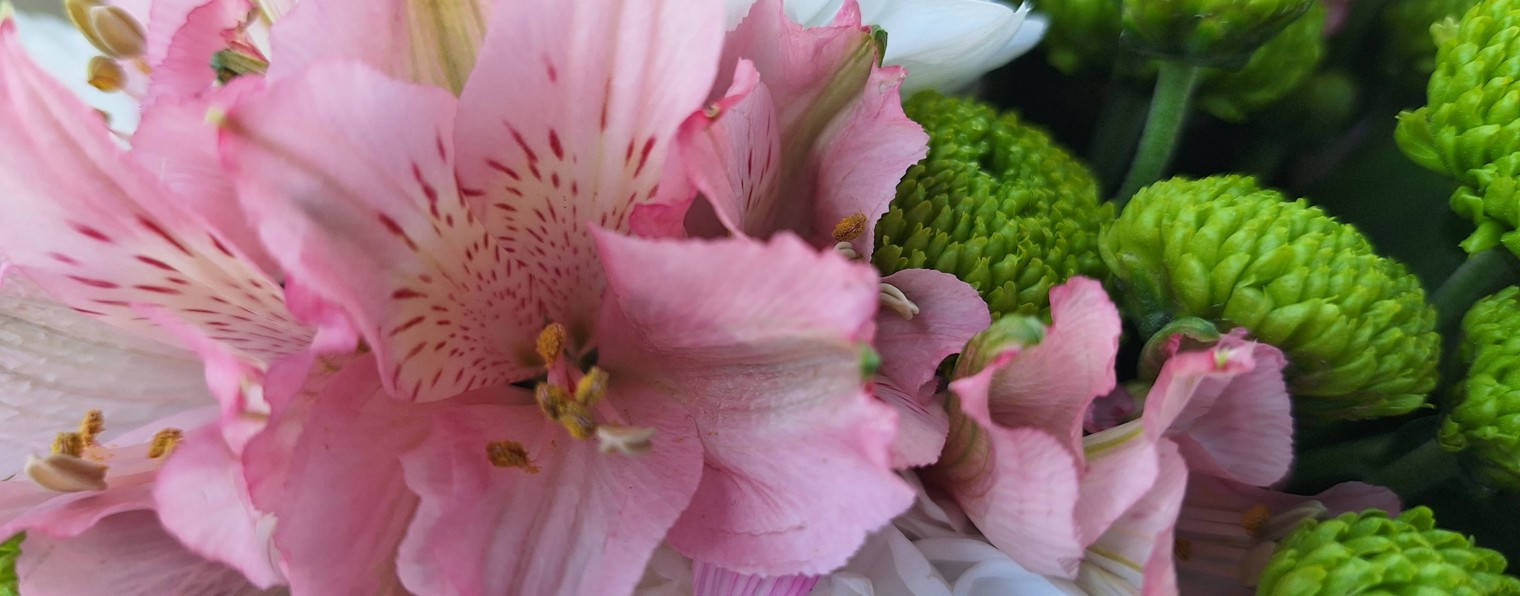 Анна Яценко