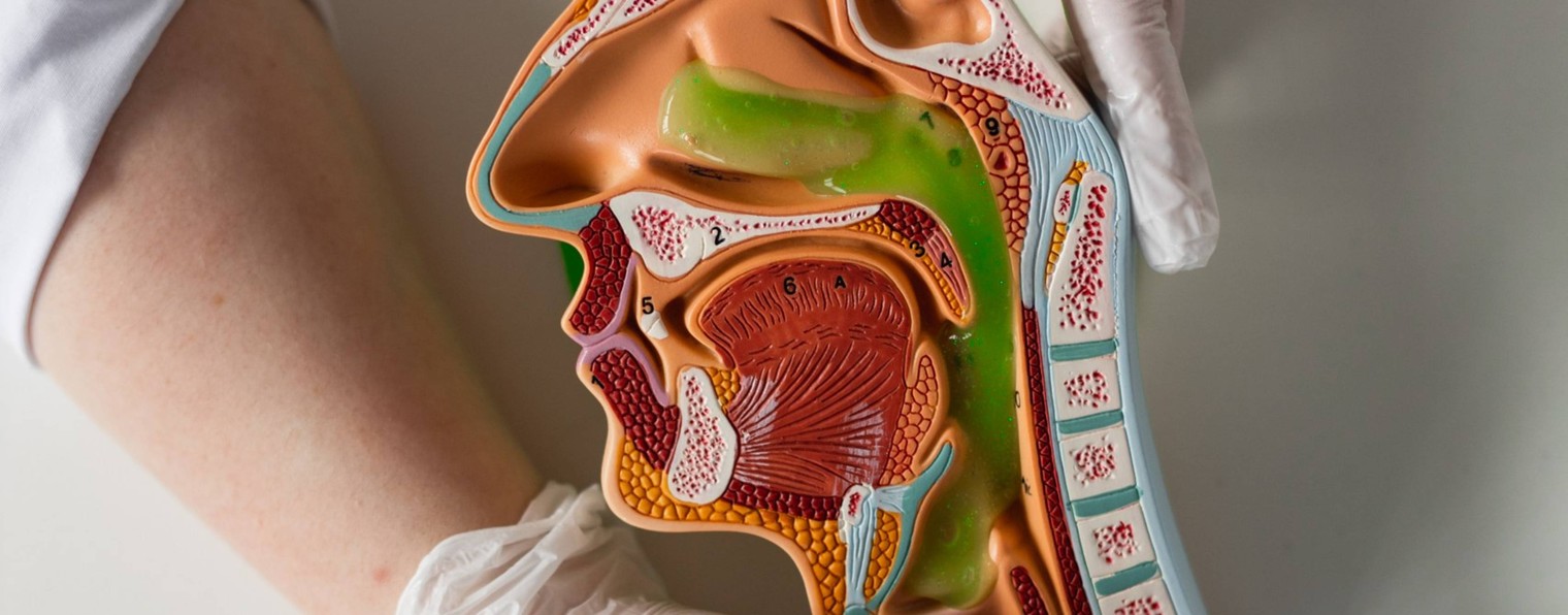 доктор Софи