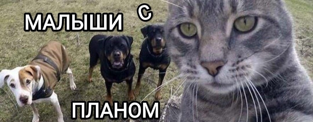 Малыши с Планом