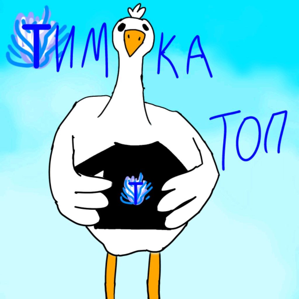 ТИМКА_ТОП