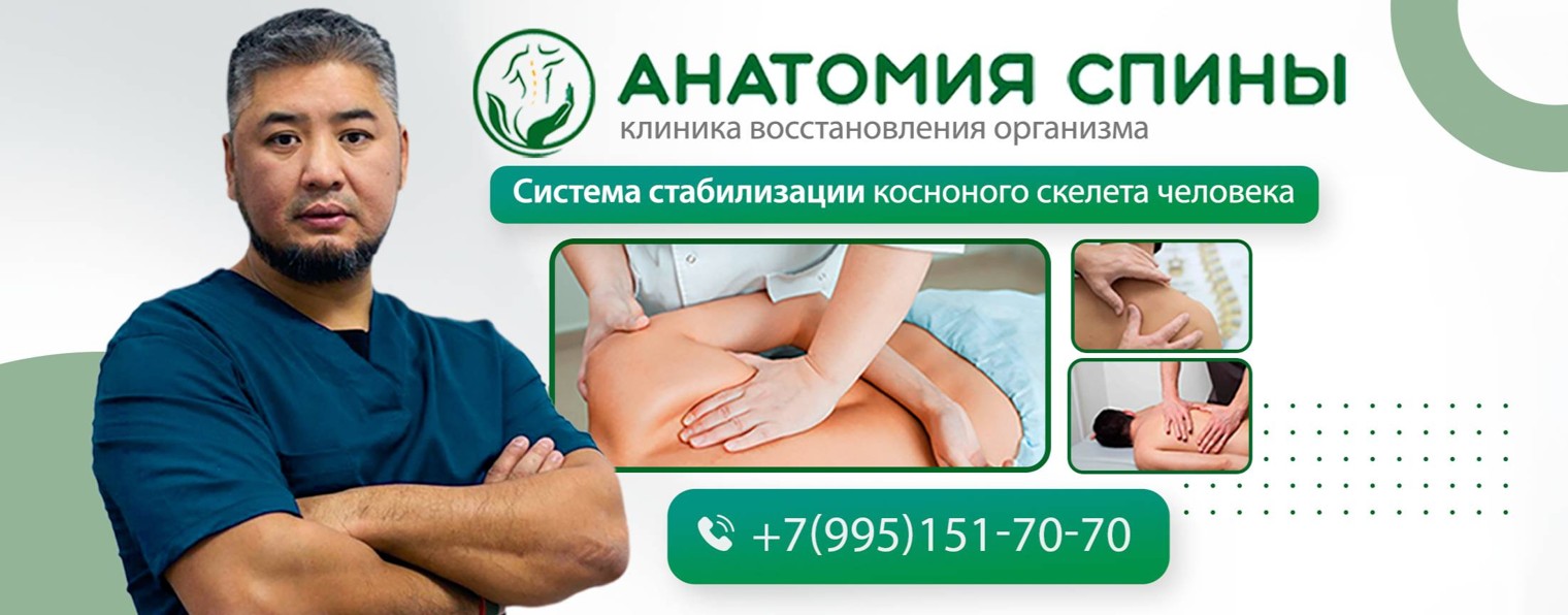 Анатомия Спины
