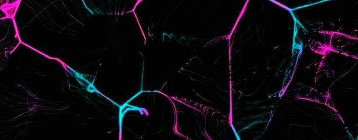CyberRealm