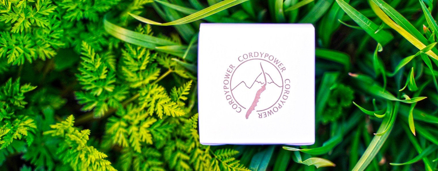 CordyPower