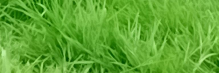 Чари Влог❤❤❤