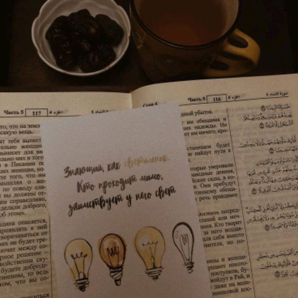 НАШИДЫ 🌞🌞