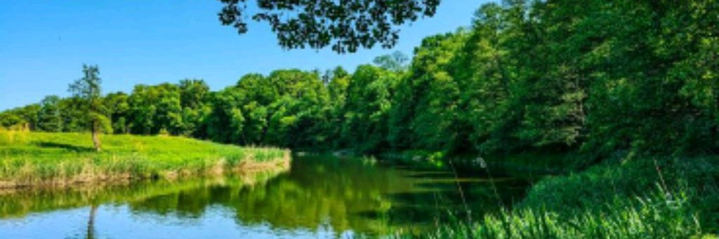 Александр Душаков