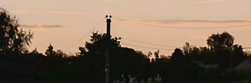 ⳅυⲙⲏяя ⲏⲉⲗⲃυⲥ🪽