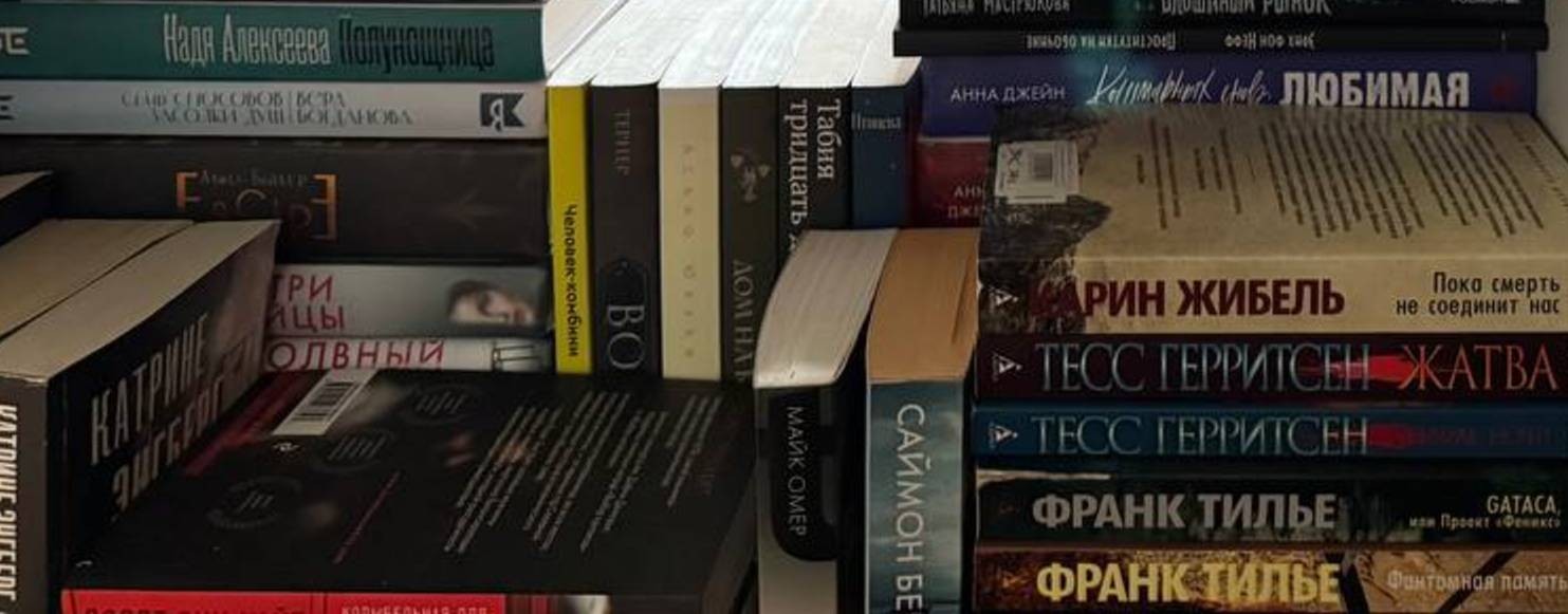 еж и книги
