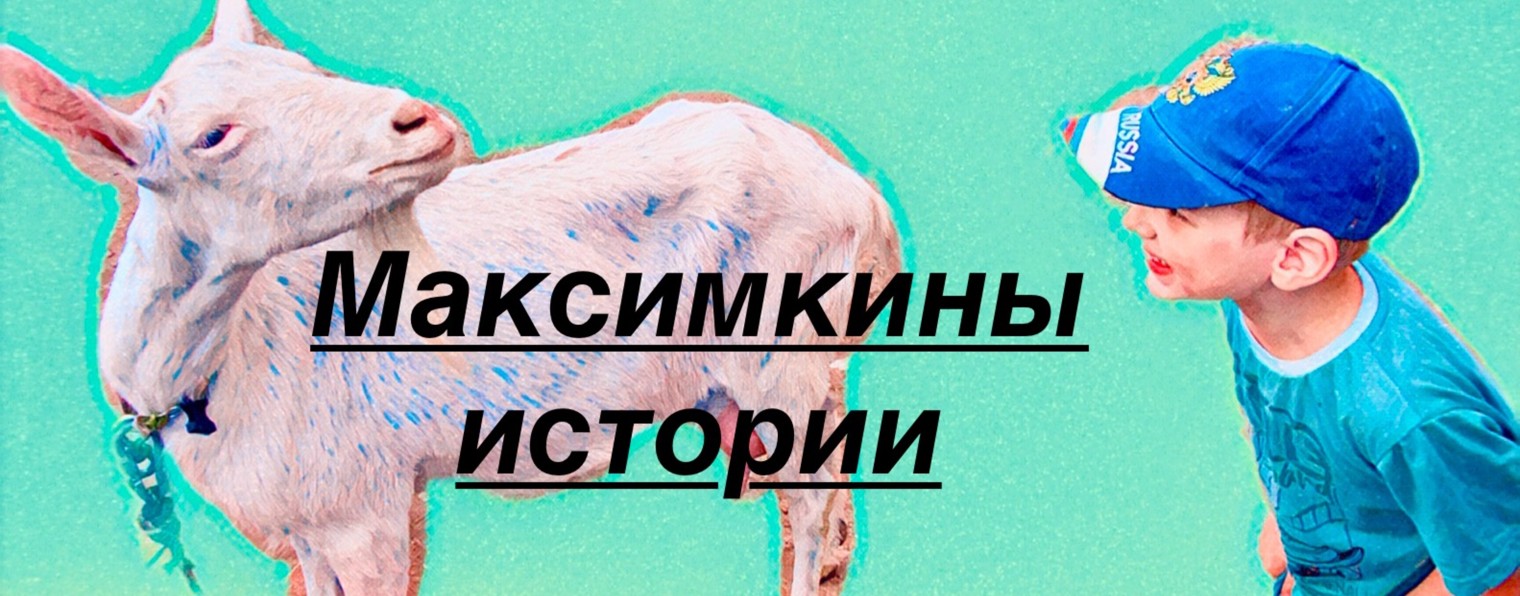 Максимкины истории