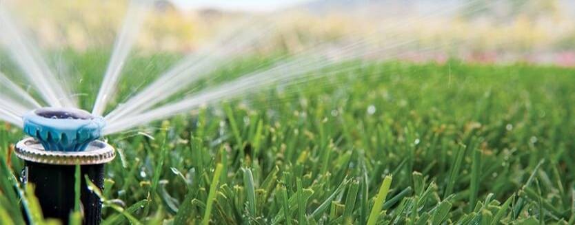 Автополив RU