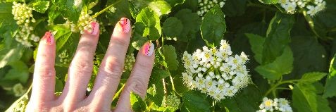 Юлия Геут о жизни и энергии