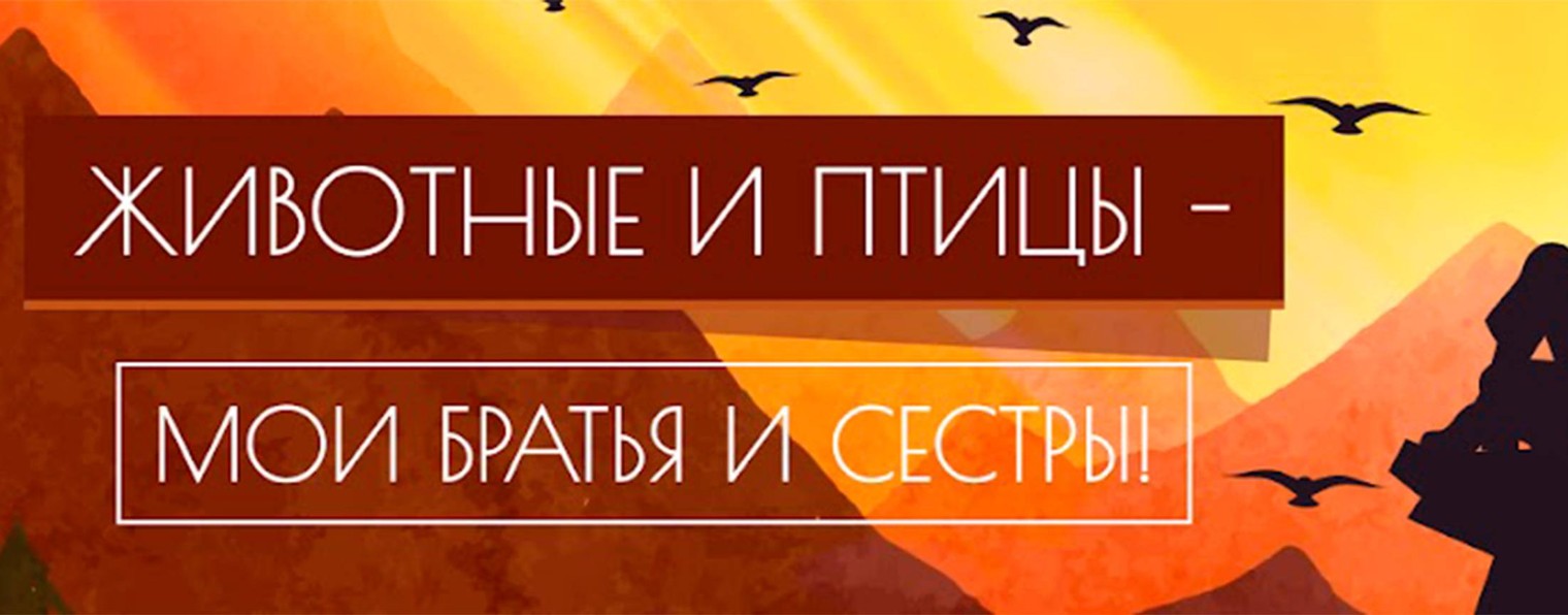 По дороге к солнцу | ЗооСвет