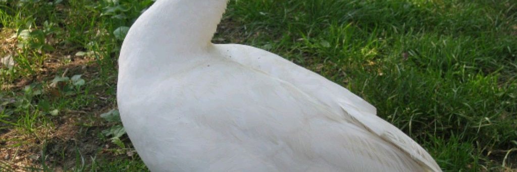 Сергей Владимирович.