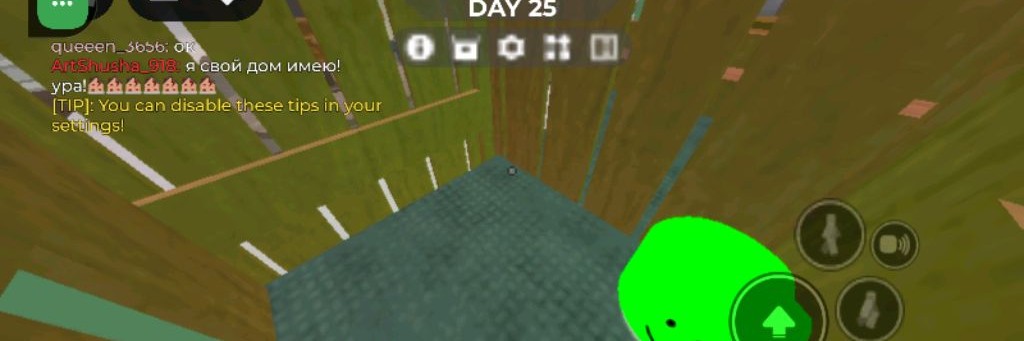 Котопулечка