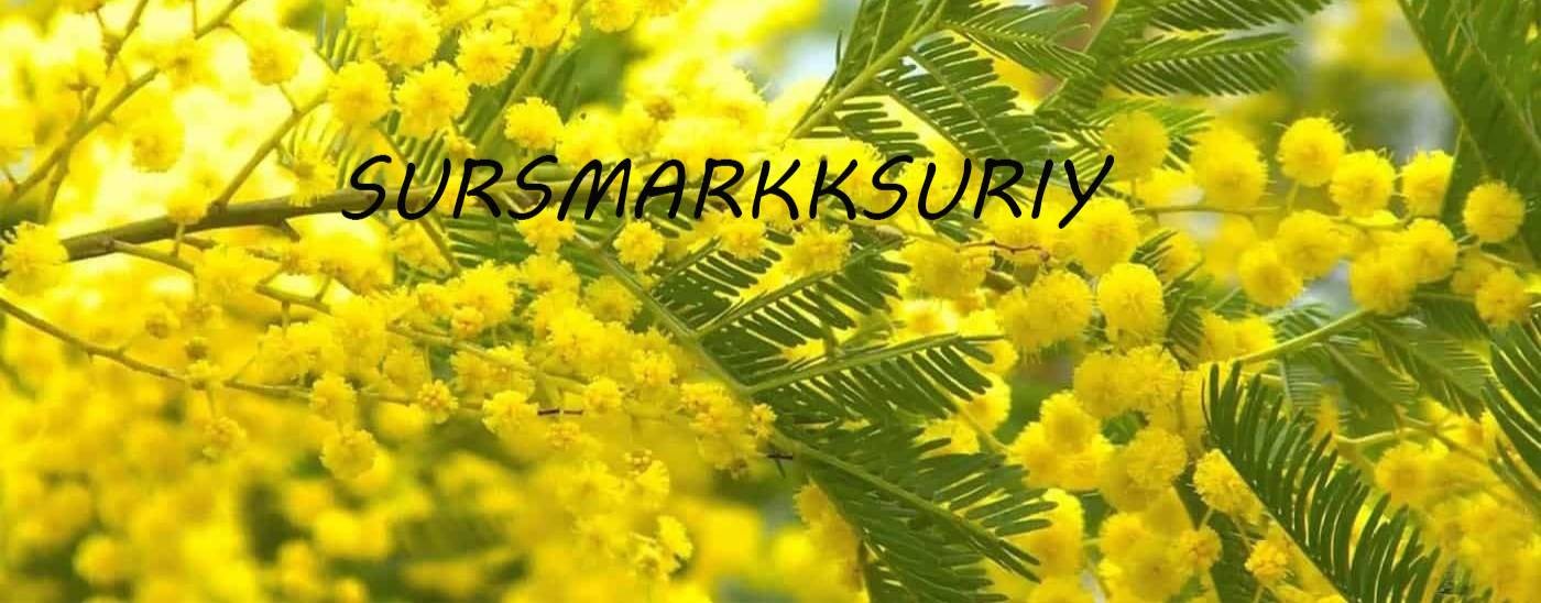 SursMarkksUriy