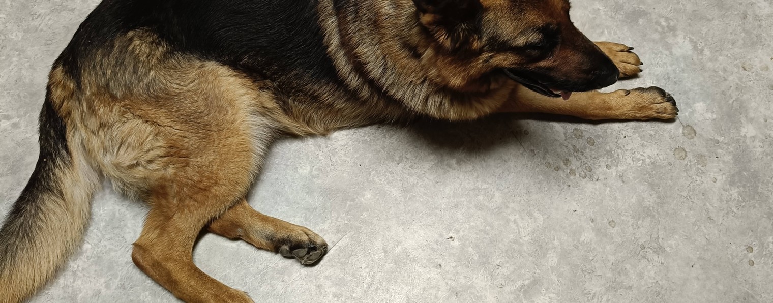 Кеша Кайра и другое.