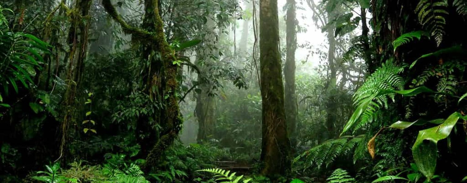 Необычные красоты природы