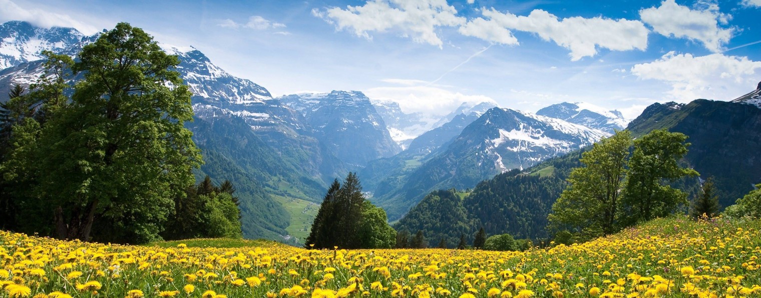 Сергей Чери