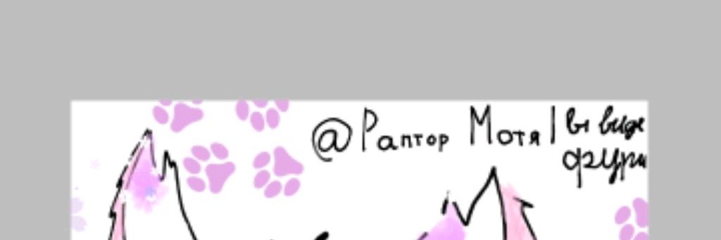 Раптор мотя