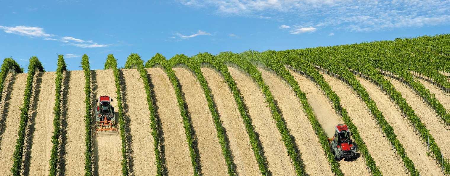 ОДИС — лучшая техника для виноградников и садов!