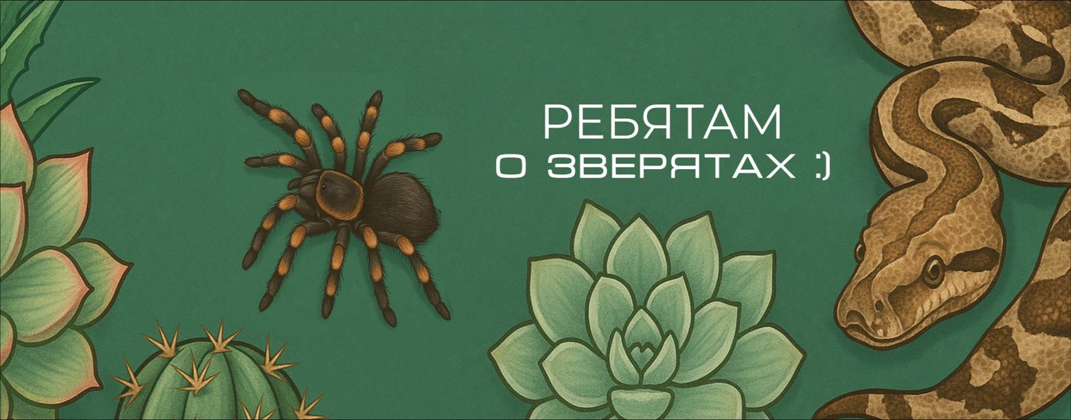 Plants_n_spiders
