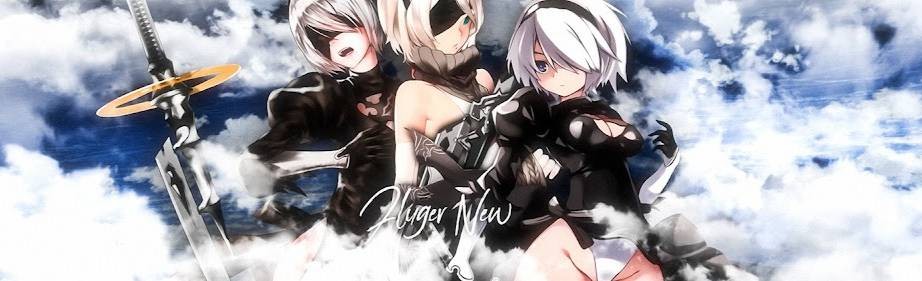 Fluger New